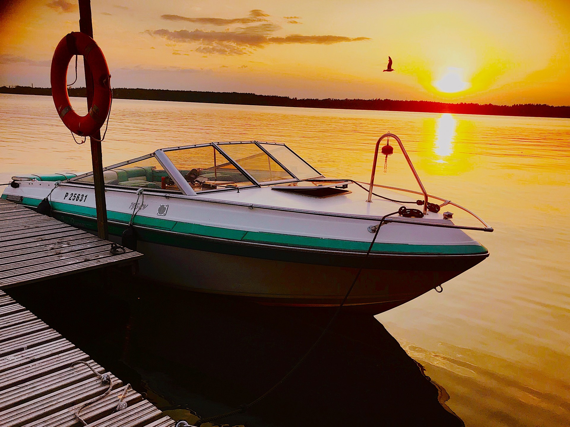 Sun Runner 195CV | Skipperi