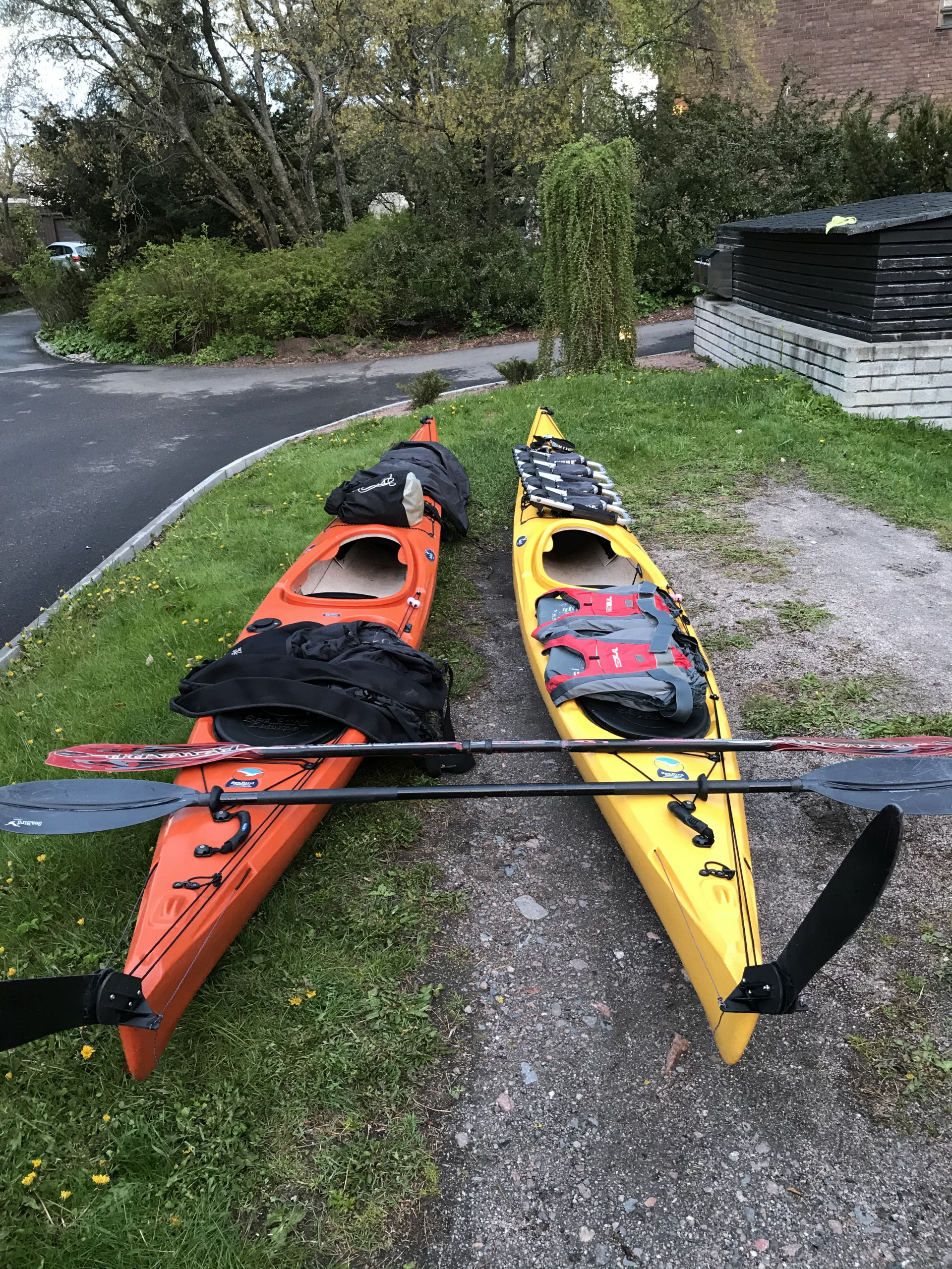 Seabird Expedition - kajakki | Skipperi