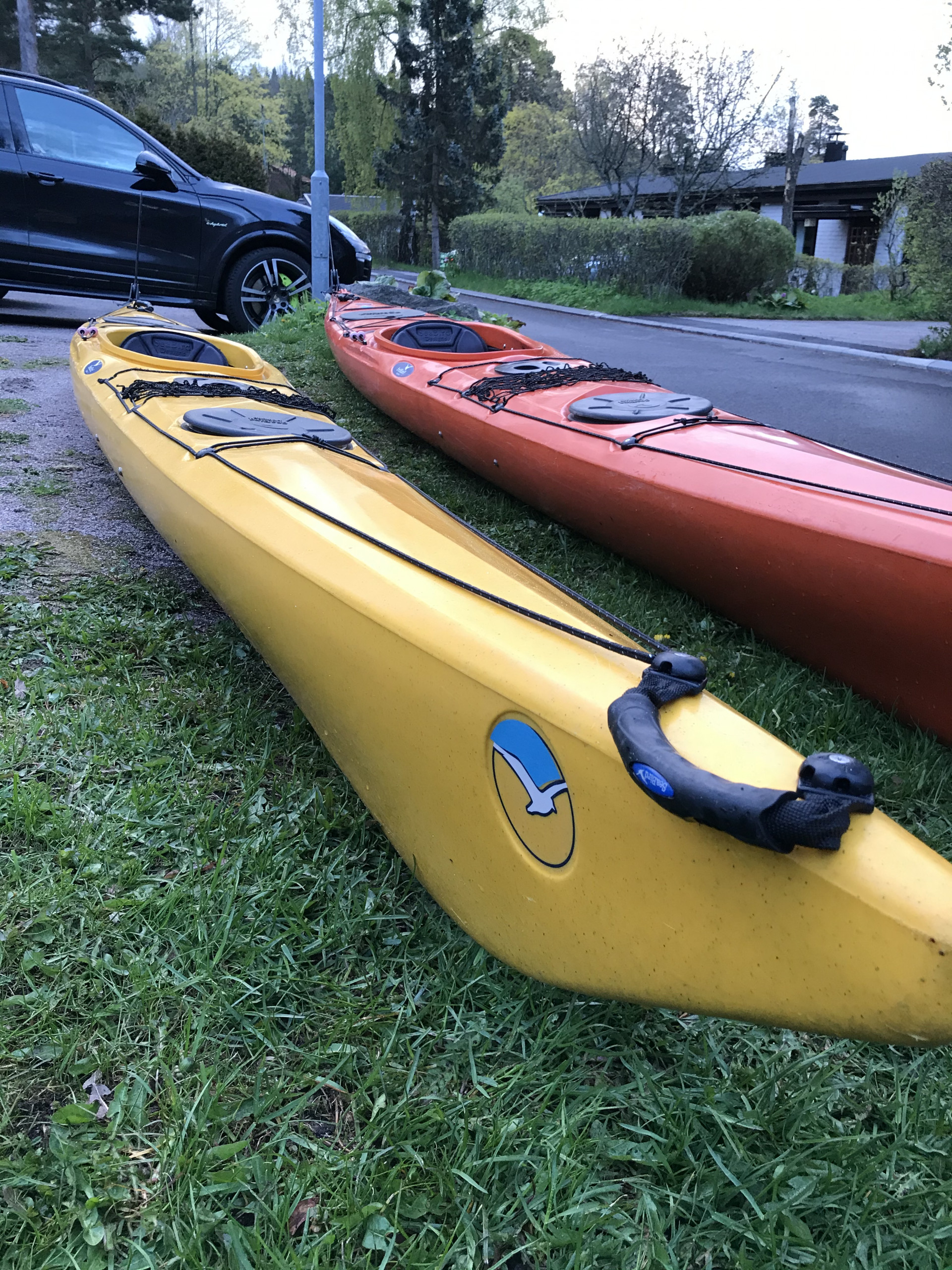 Seabird Expedition - kajakki | Skipperi