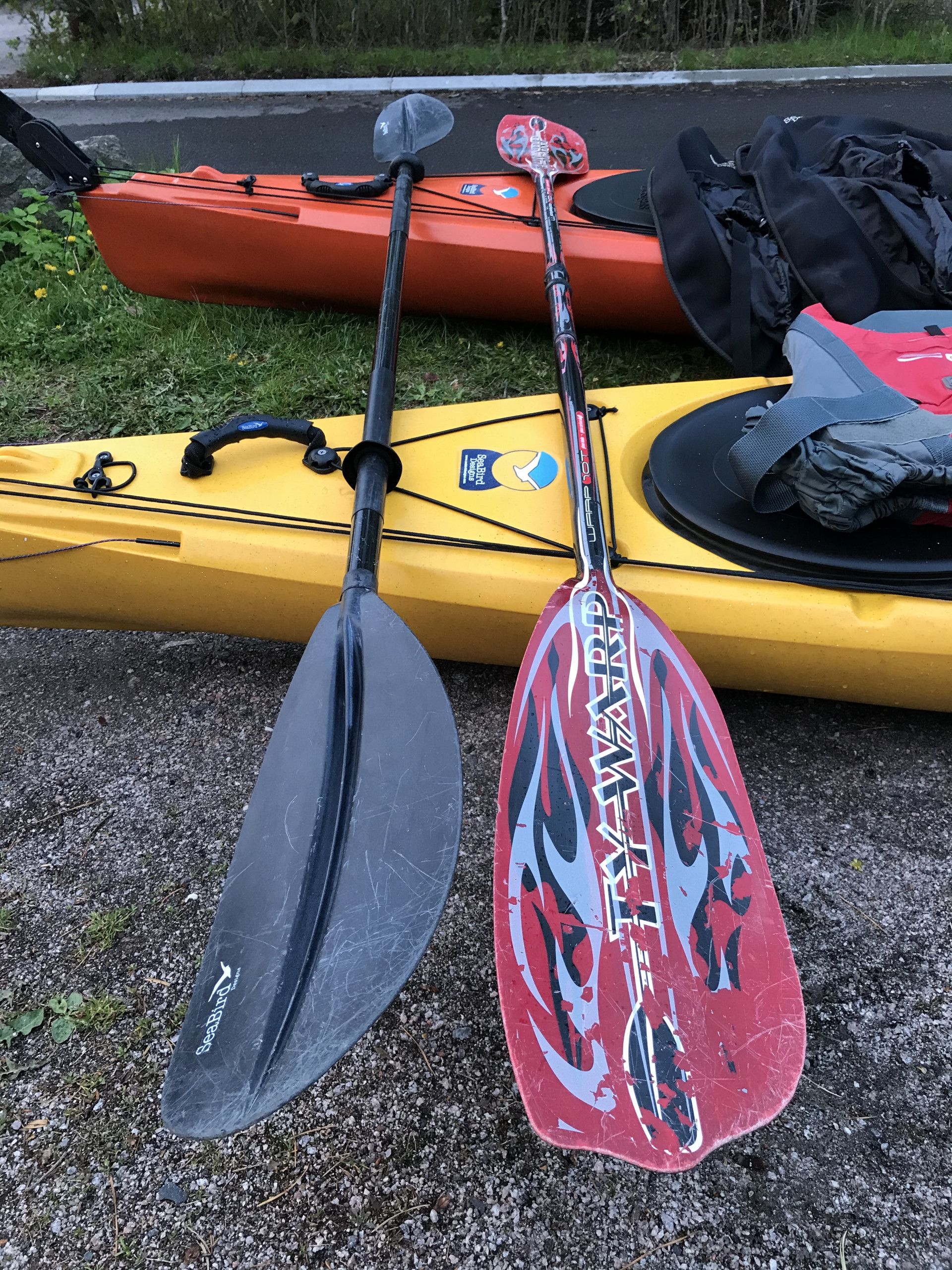 Seabird Expedition - kajakki | Skipperi