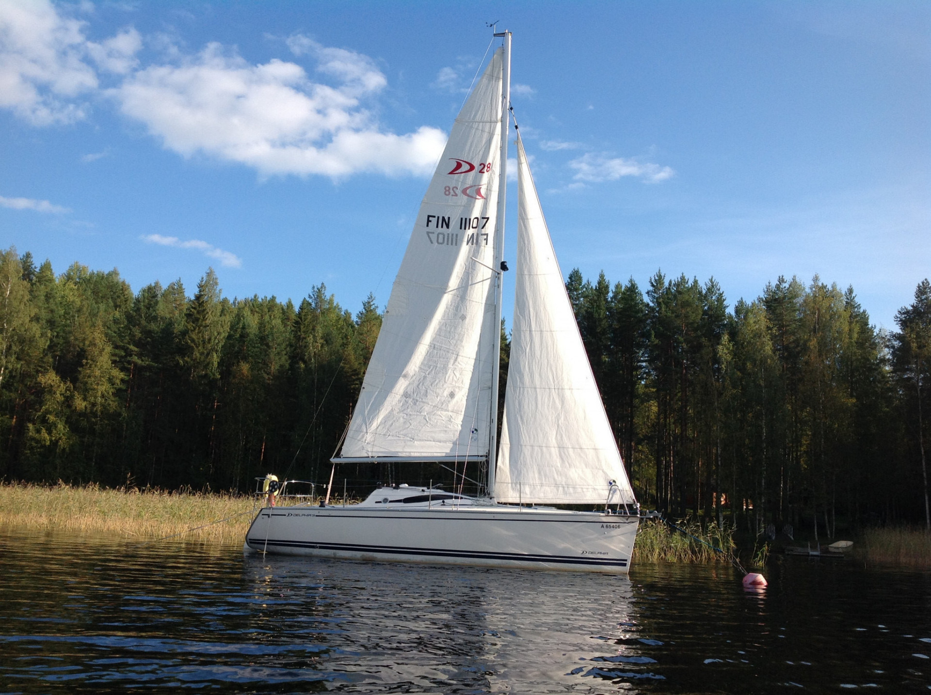 Delphia 28 | Skipperi