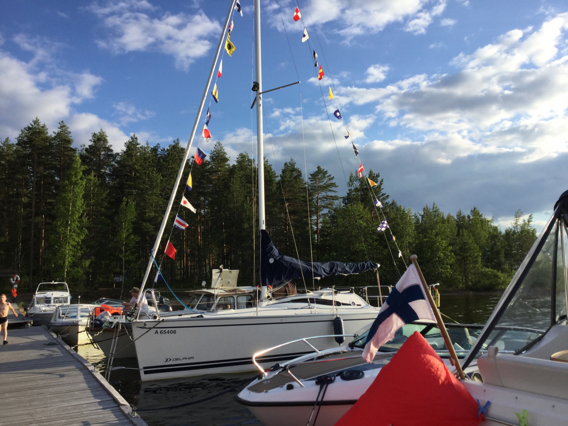 Delphia 28 | Skipperi