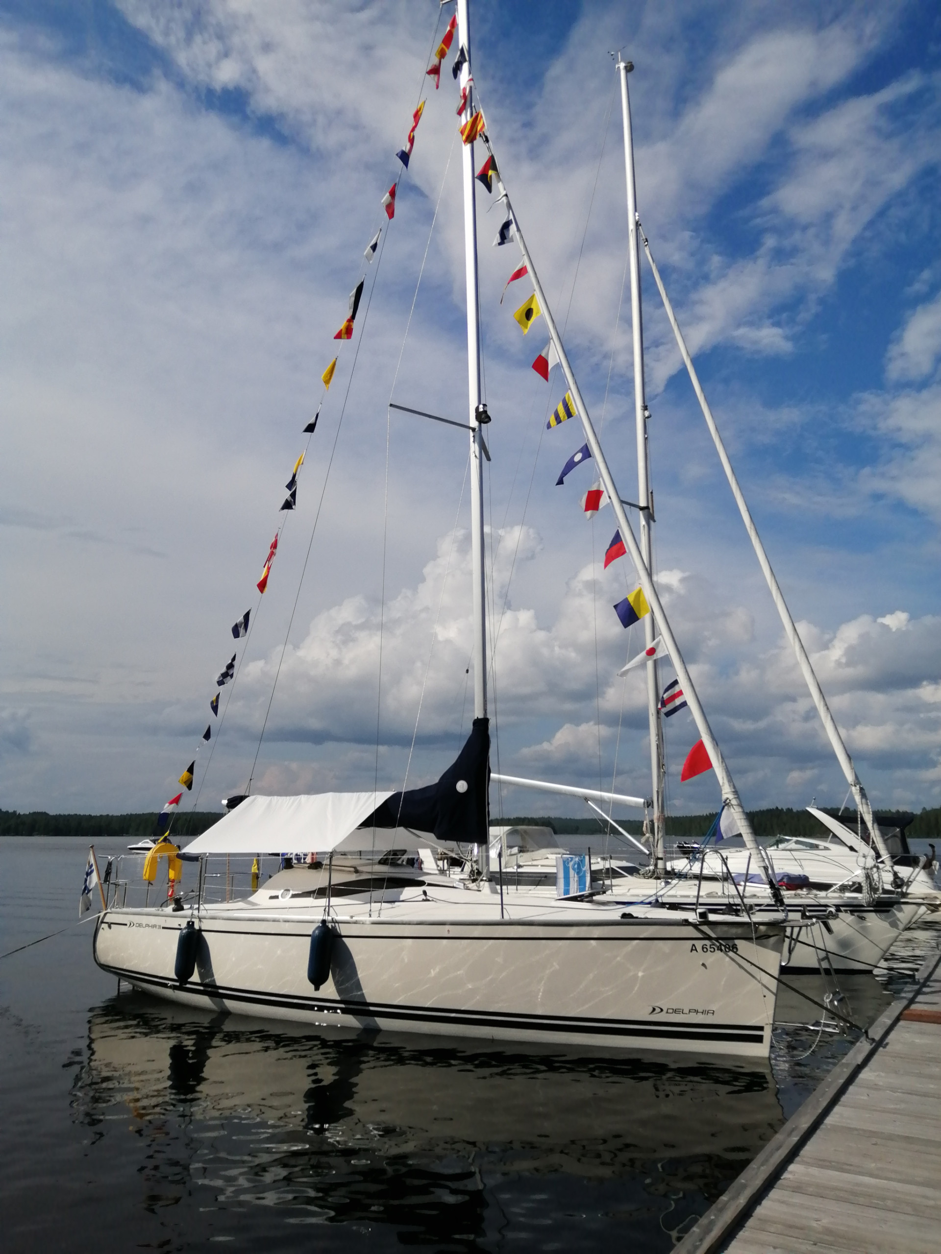 Delphia 28 | Skipperi