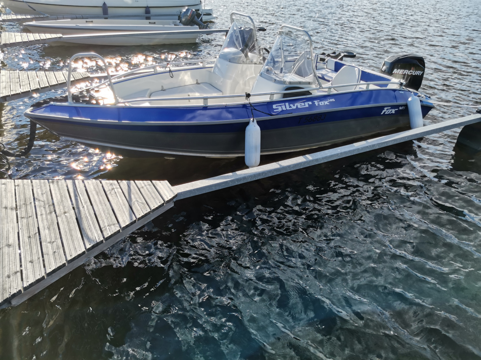 Silver Fox | Skipperi