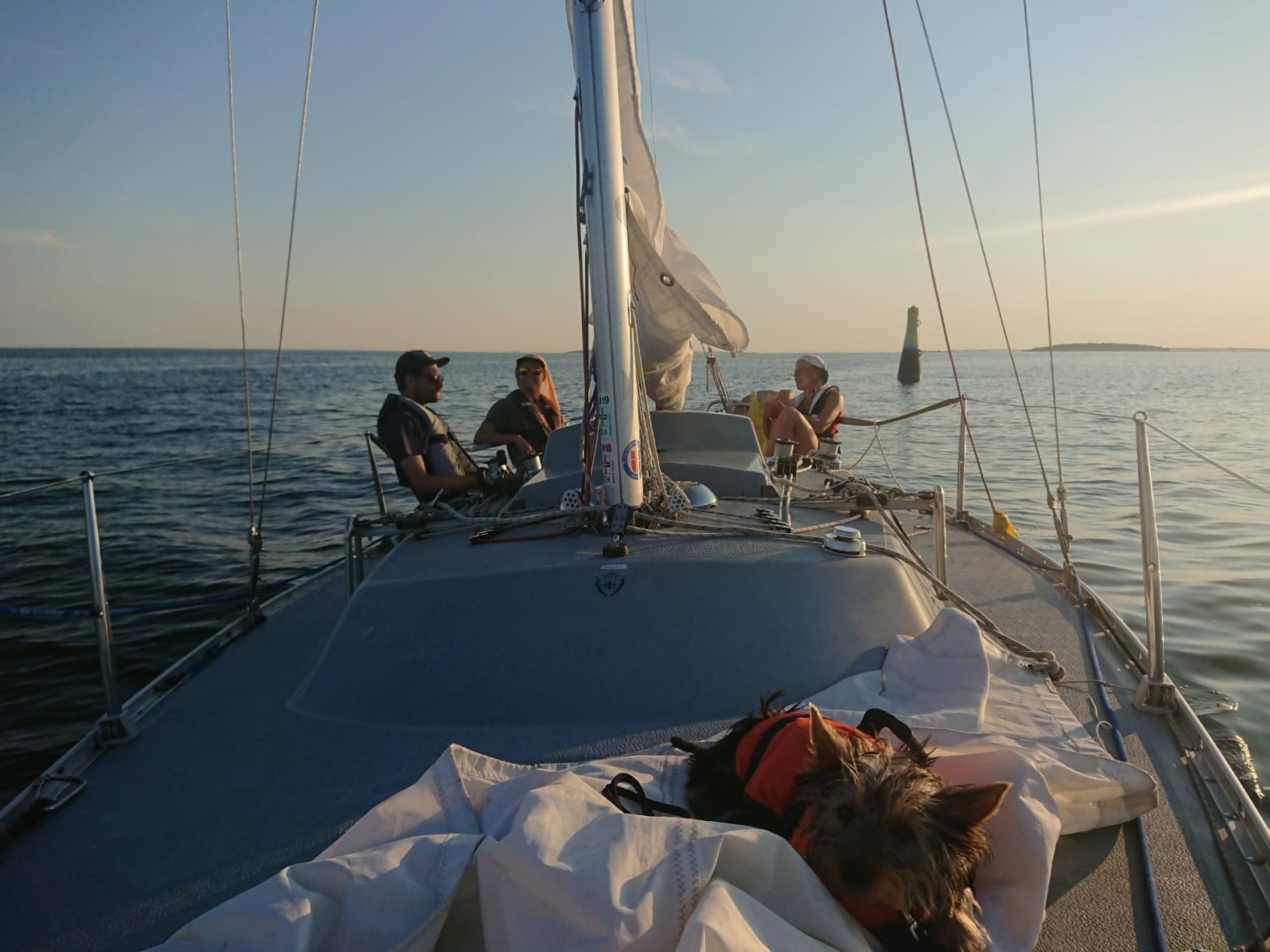 Albin Express | Skipperi