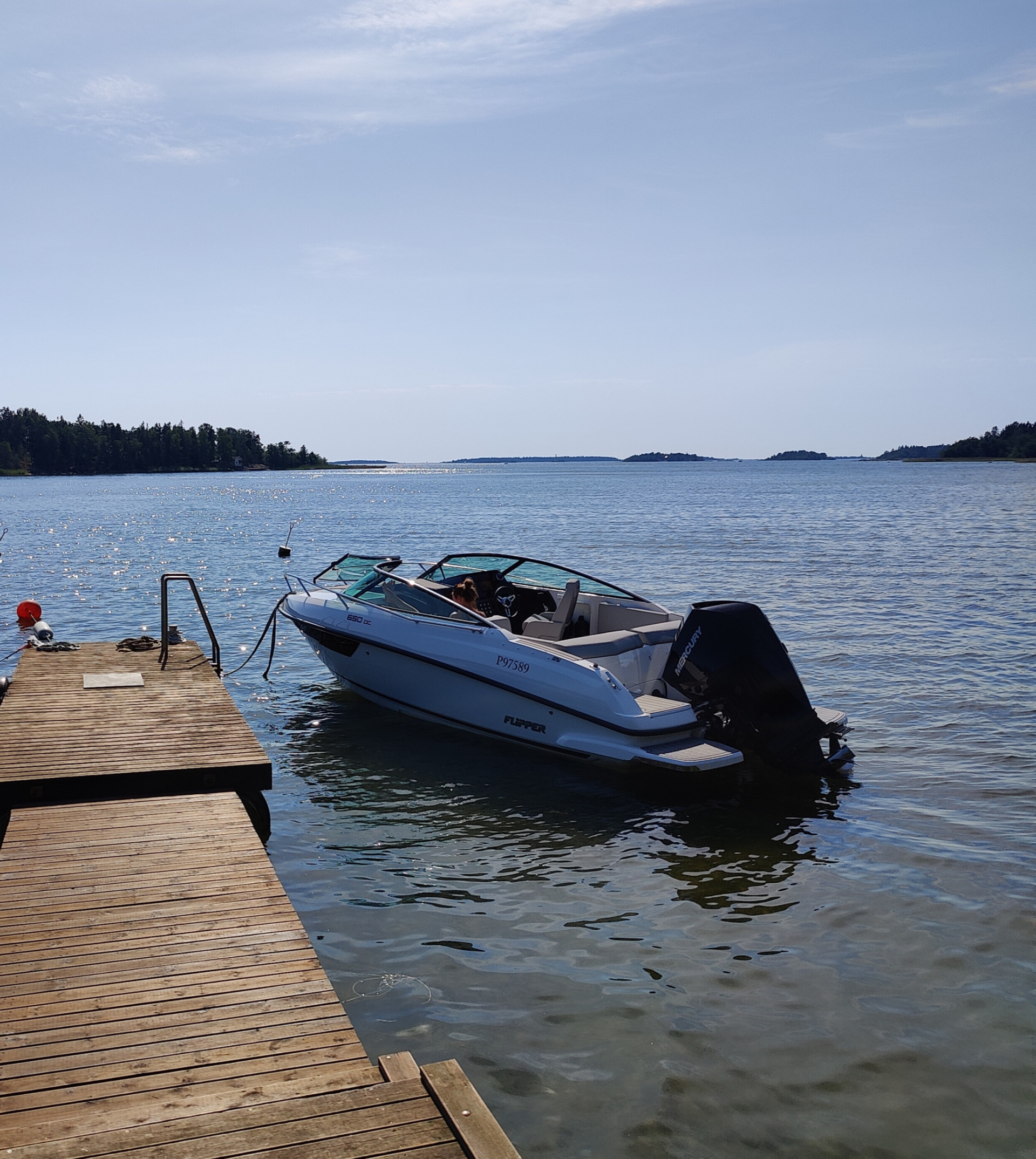 Flipper DC650 | Skipperi