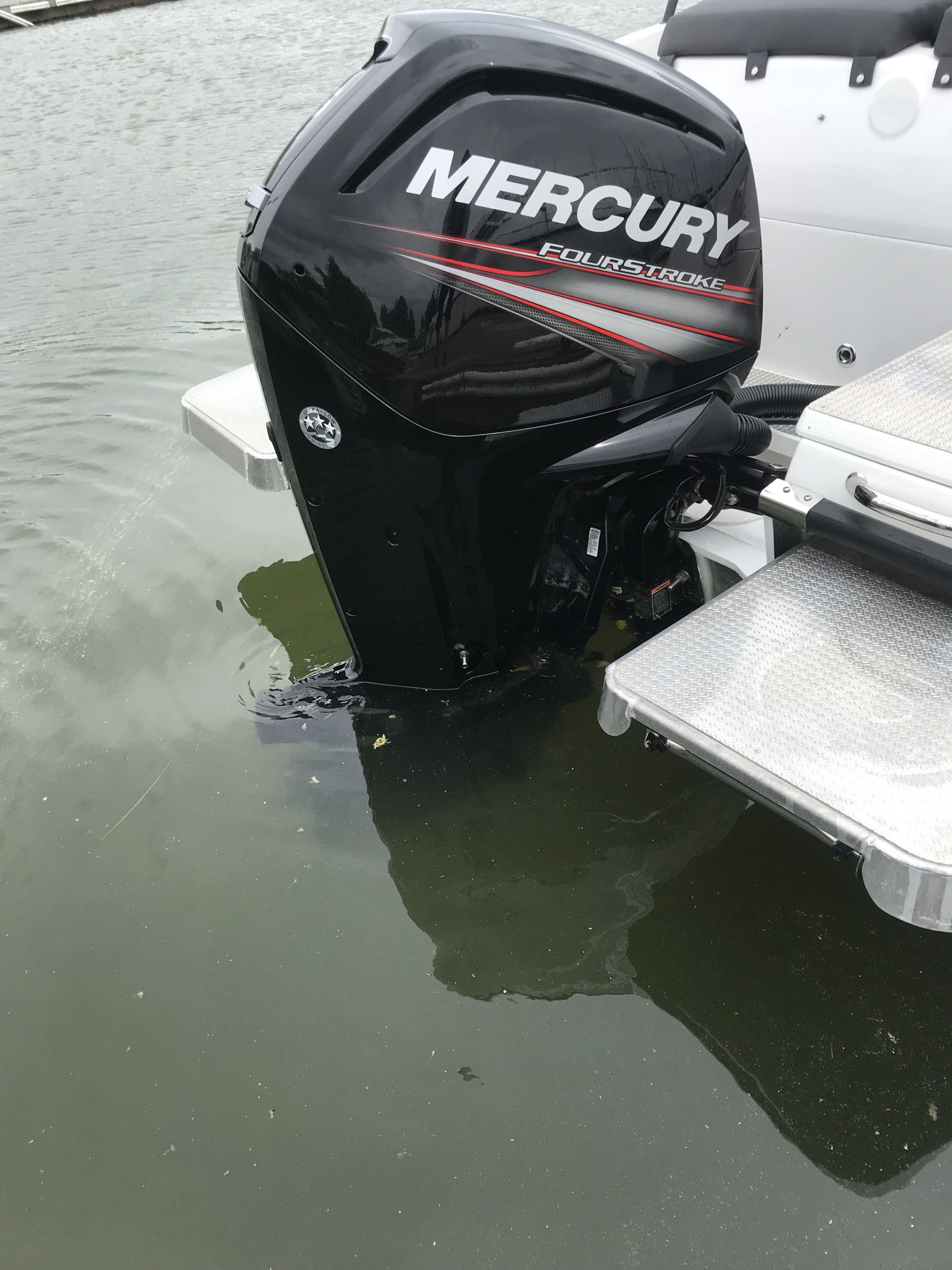 Falcon BR6 | Skipperi