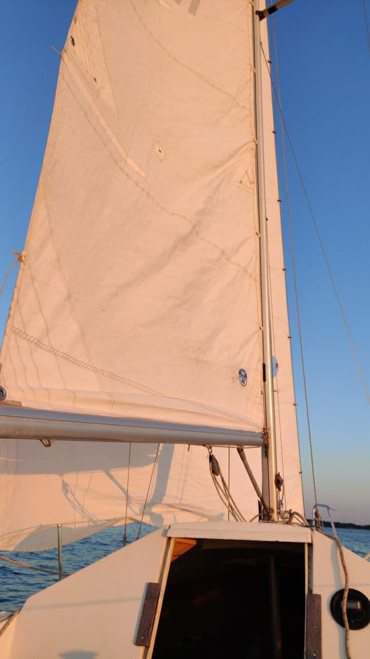 Guy Guy 22 | Skipperi