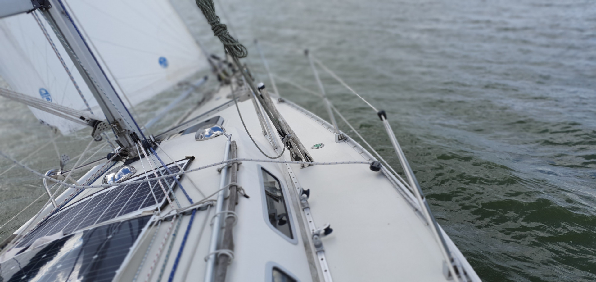 Albin Delta | Skipperi