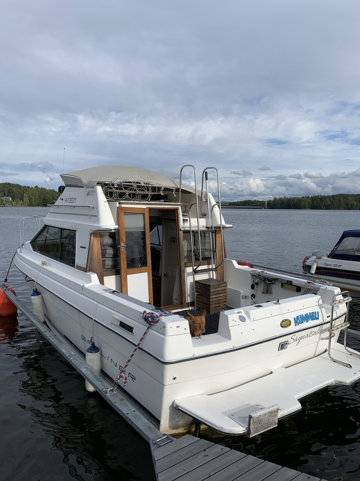 Bayliner 2556 Ciera CB | Skipperi