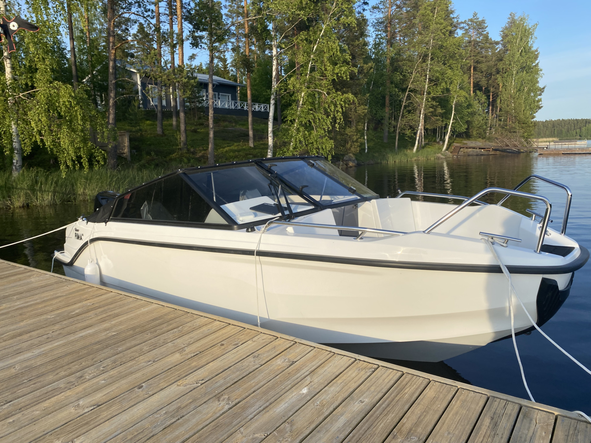 Silver Puma | Skipperi