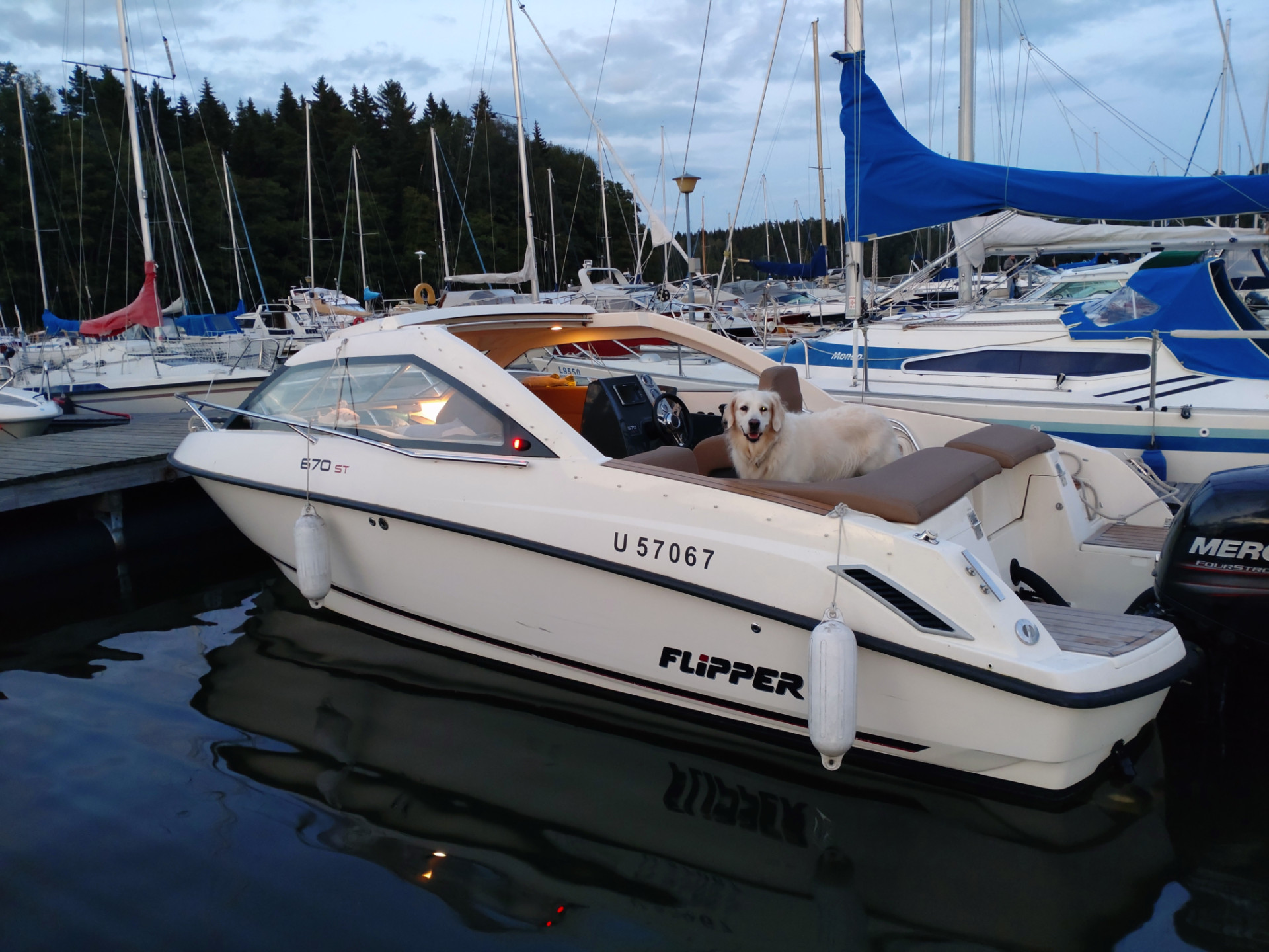 Flipper 670 ST | Skipperi