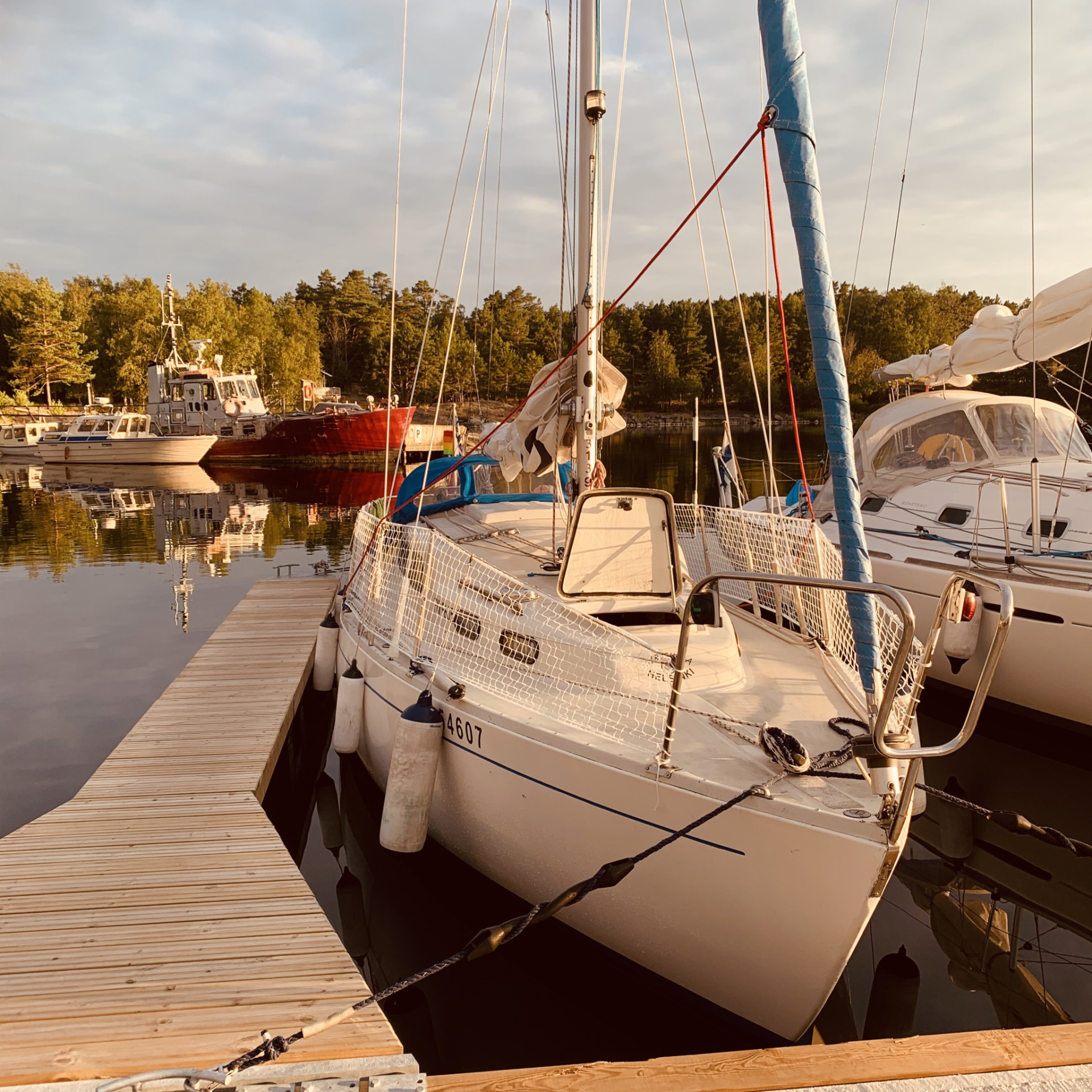 Albin vega | Skipperi